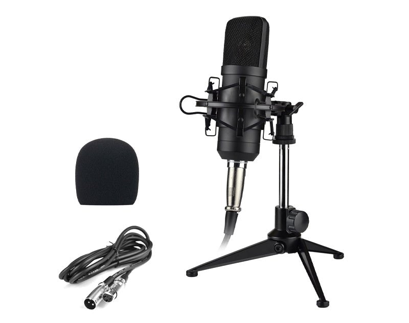 Precision Audio Professional USB Condenser Microphone TMS800